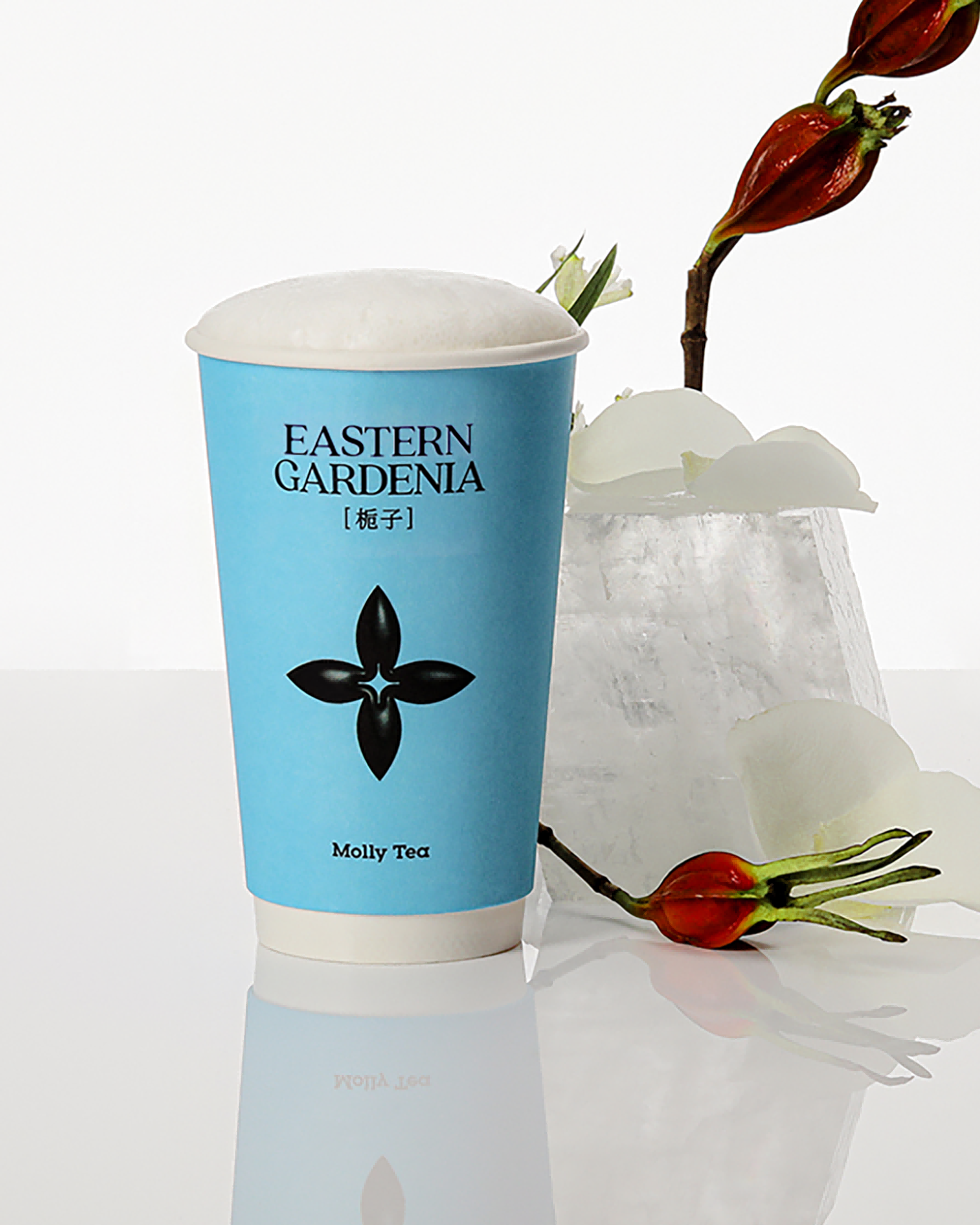 Product Categories – AU – Mollytea