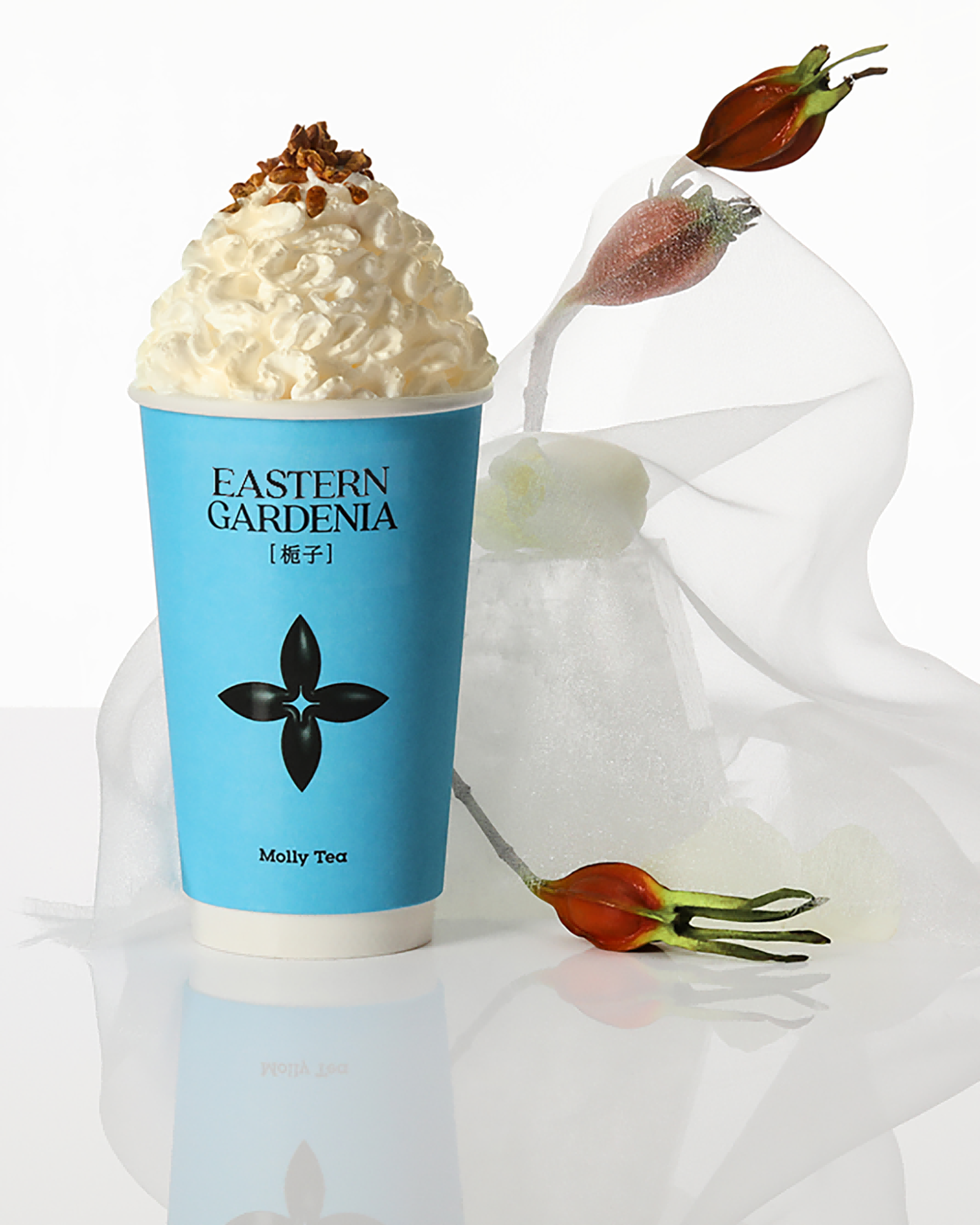 Product Categories – AU – Mollytea